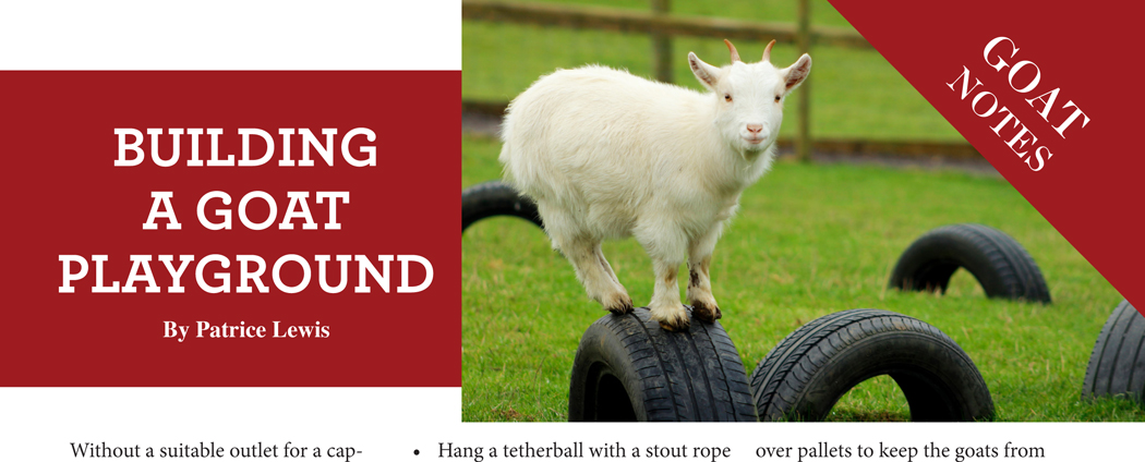Building a Goat Playground - Goat Journal